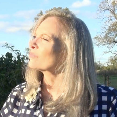 Course Elementor Pro Mastery - Living With Pixels